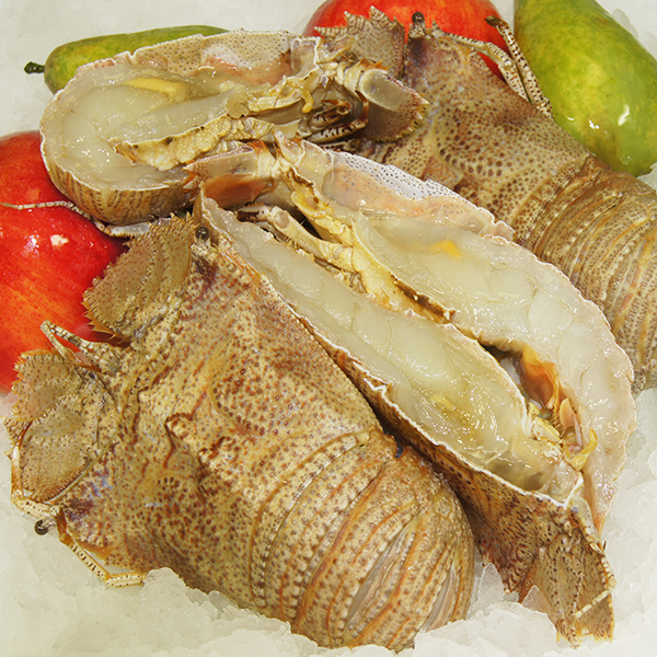 Moreton Bay Bugs Fresh Wild Caught - Durack Aussie Seafood House