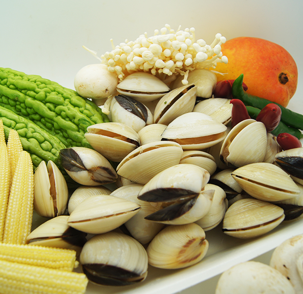 Pipi's..Clam...Wild Caught - Durack Aussie Seafood House