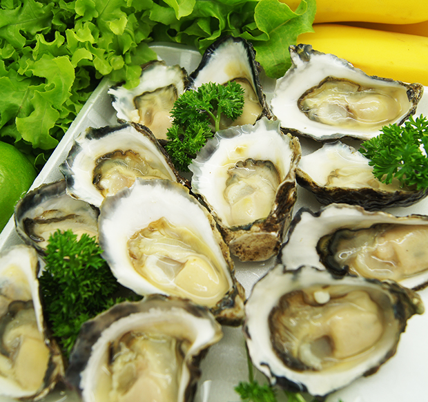 Oysters Moreton Rocks Fresh Local - Durack Aussie Seafood House