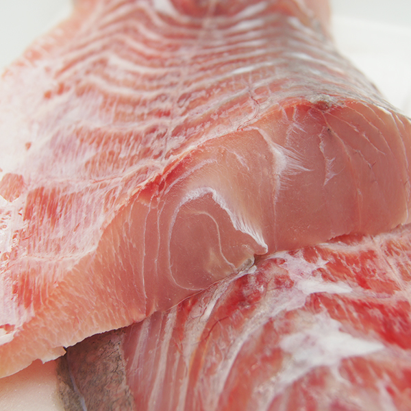 Barramundi Fresh Wild Caught QLD - Durack Aussie Seafood House