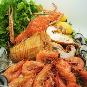 Sensational Queensland Seafood Fresh Wild Caught - Durack Aussie ...