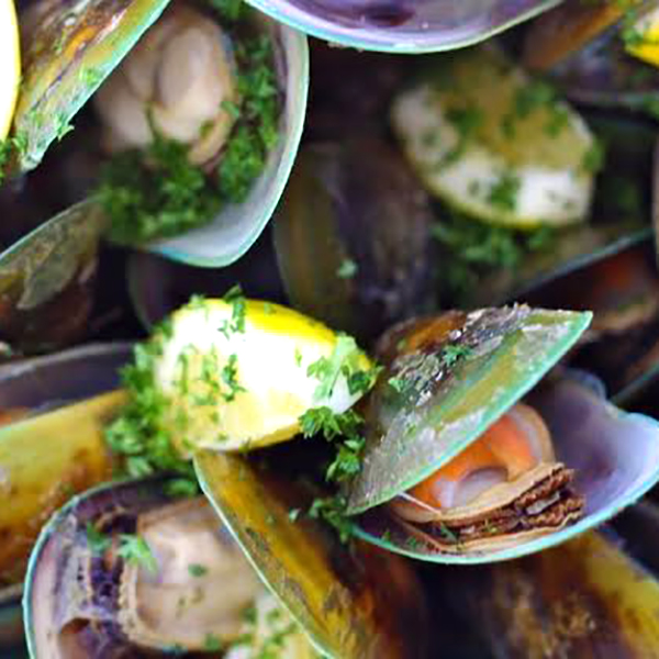 Mussels Nz Green Lip's .....Natural Health - Durack Aussie Seafood House
