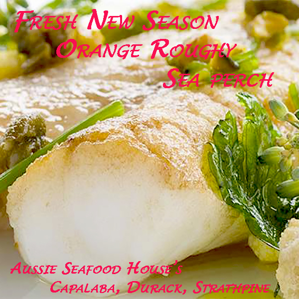 Orange Roughy Fresh - Durack Aussie Seafood House