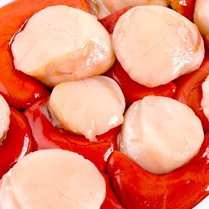 Large Roe On Sea Scallops - Durack Aussie Seafood House