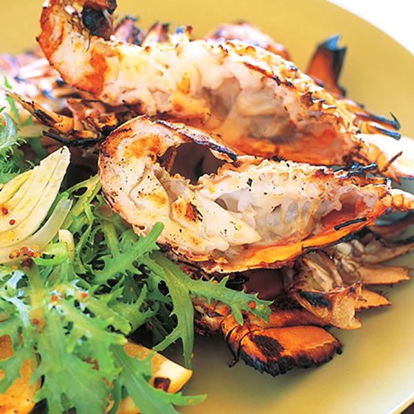 Bugs Raw Moreton Bay XX Large - Durack Aussie Seafood House