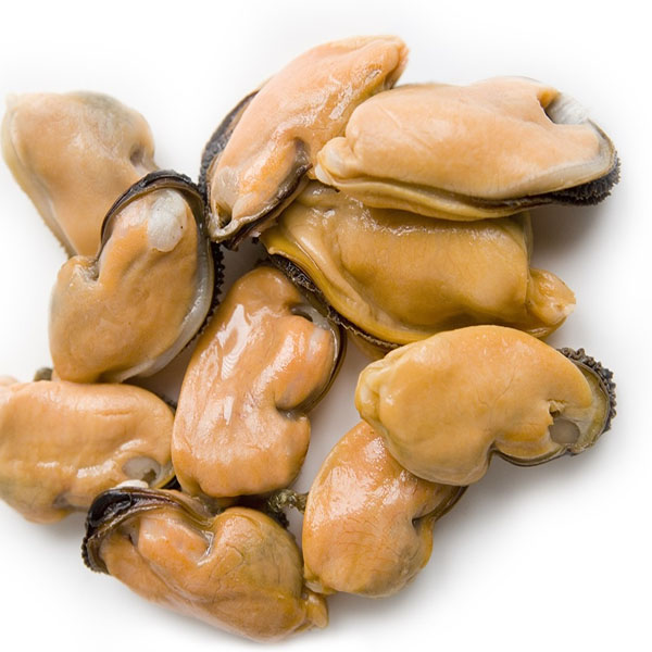 Mussel Meat NZ's Best - Durack Aussie Seafood House