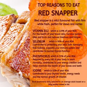 Fresh Wild Caught Red Snapper - Durack Aussie Seafood House