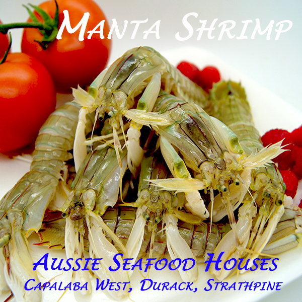 Fresh Wild Caught Queensland Prawn's & Crab's Archives - Page 2 of 3 ...