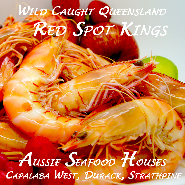 Fresh Wild Caught Queensland Prawn's & Crab's Archives - Page 2 of 3 ...
