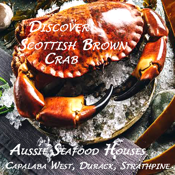 Fresh Wild Caught Queensland Prawn's & Crab's Archives - Page 3 of 3 ...