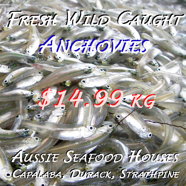 Fresh Whole Fish Archives - Durack Aussie Seafood House